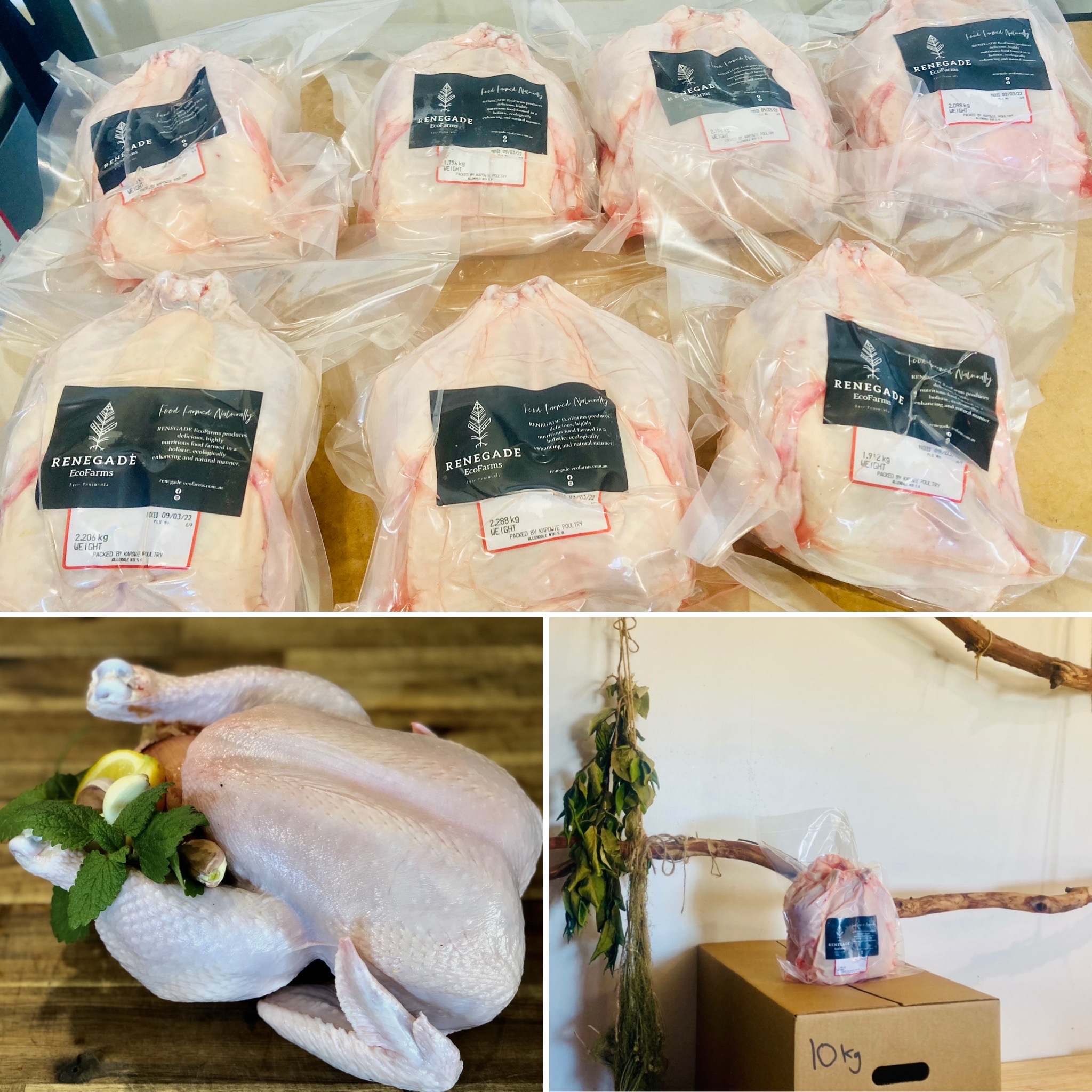 Chicken Bulk Box – Renegade EcoFarms